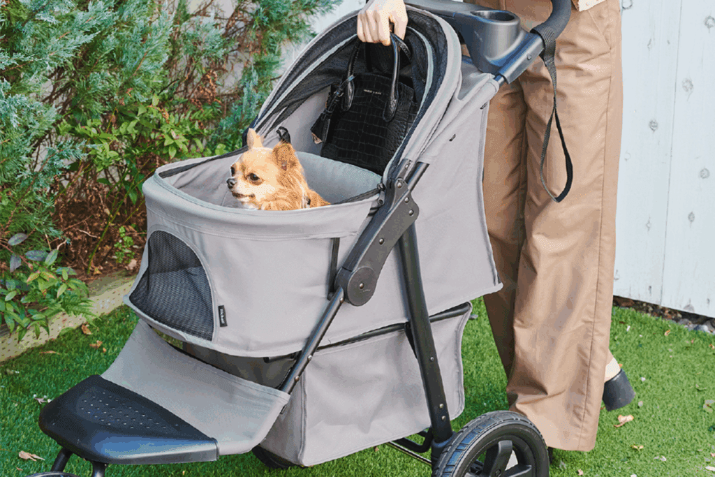 The Richell Buying Guide | Finding the Perfect Pet Products for Your ...